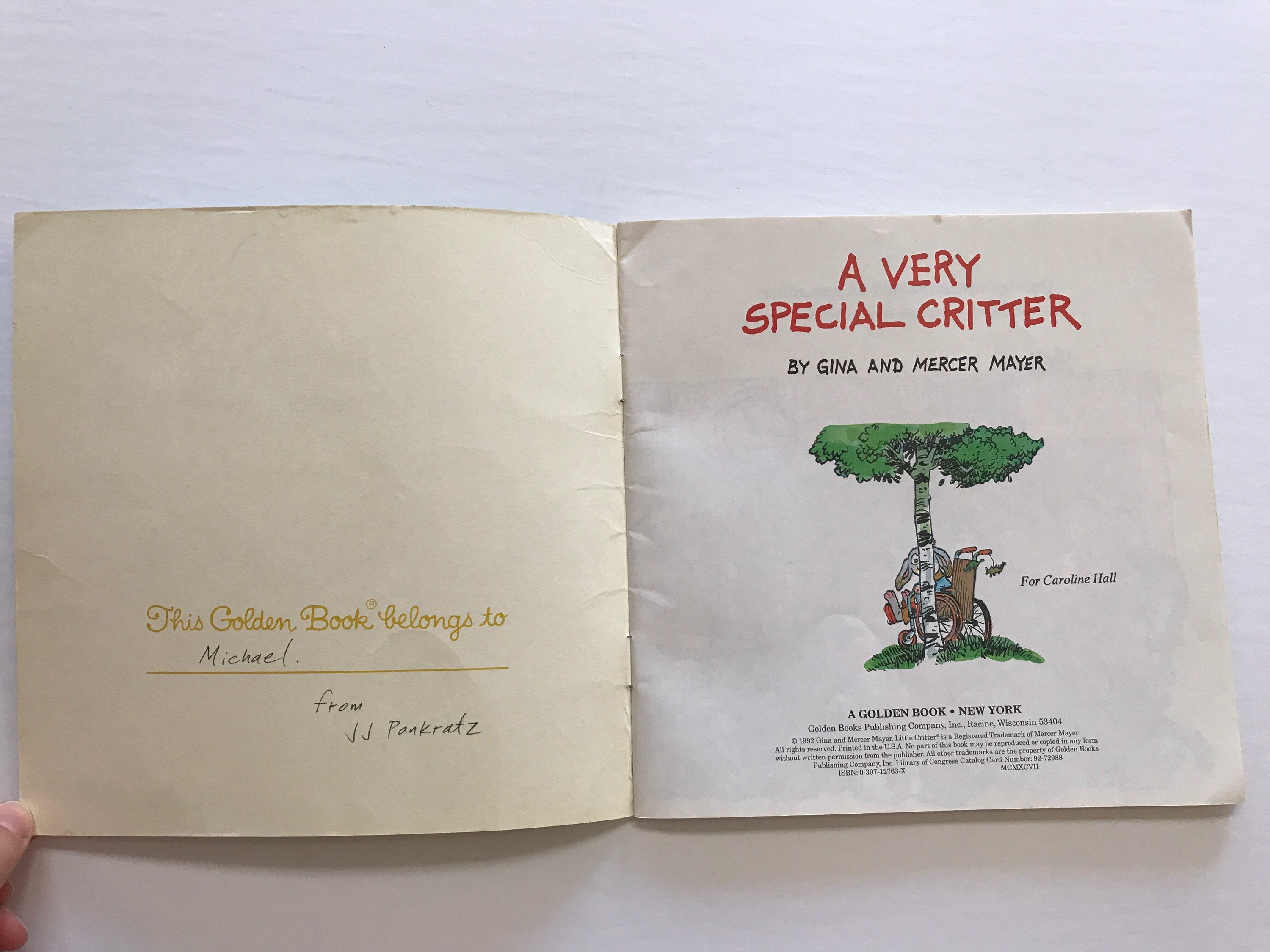 1992 Mercer Mayer Little Critters Book A Very Special Critter - Etsy