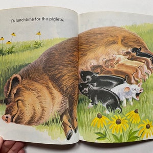 Animals on the Farm Kids Little Golden Book Children Kids Reading ...