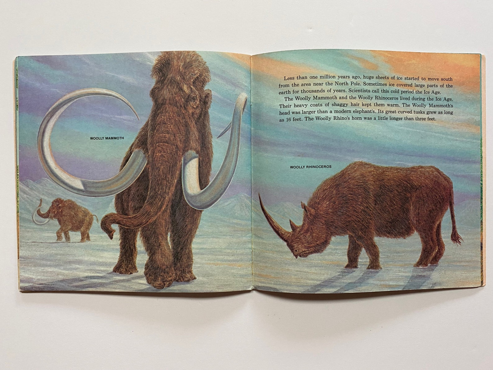 1978 Prehistoric Animals Book by Peter Zallinger - A Please Read to Me ...