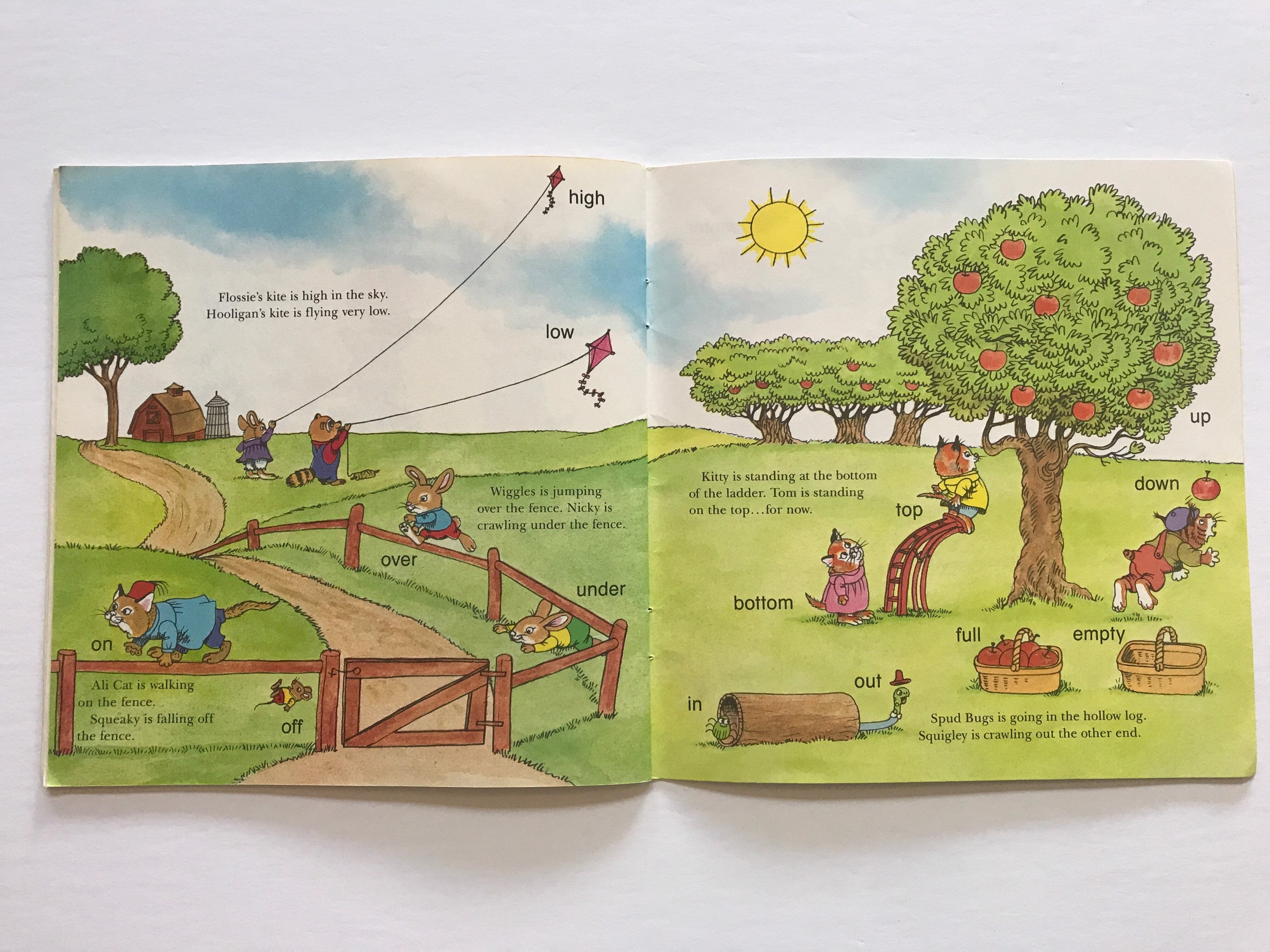 1983 Richard Scarry's Big and Little A Book of Opposites - Etsy Norway