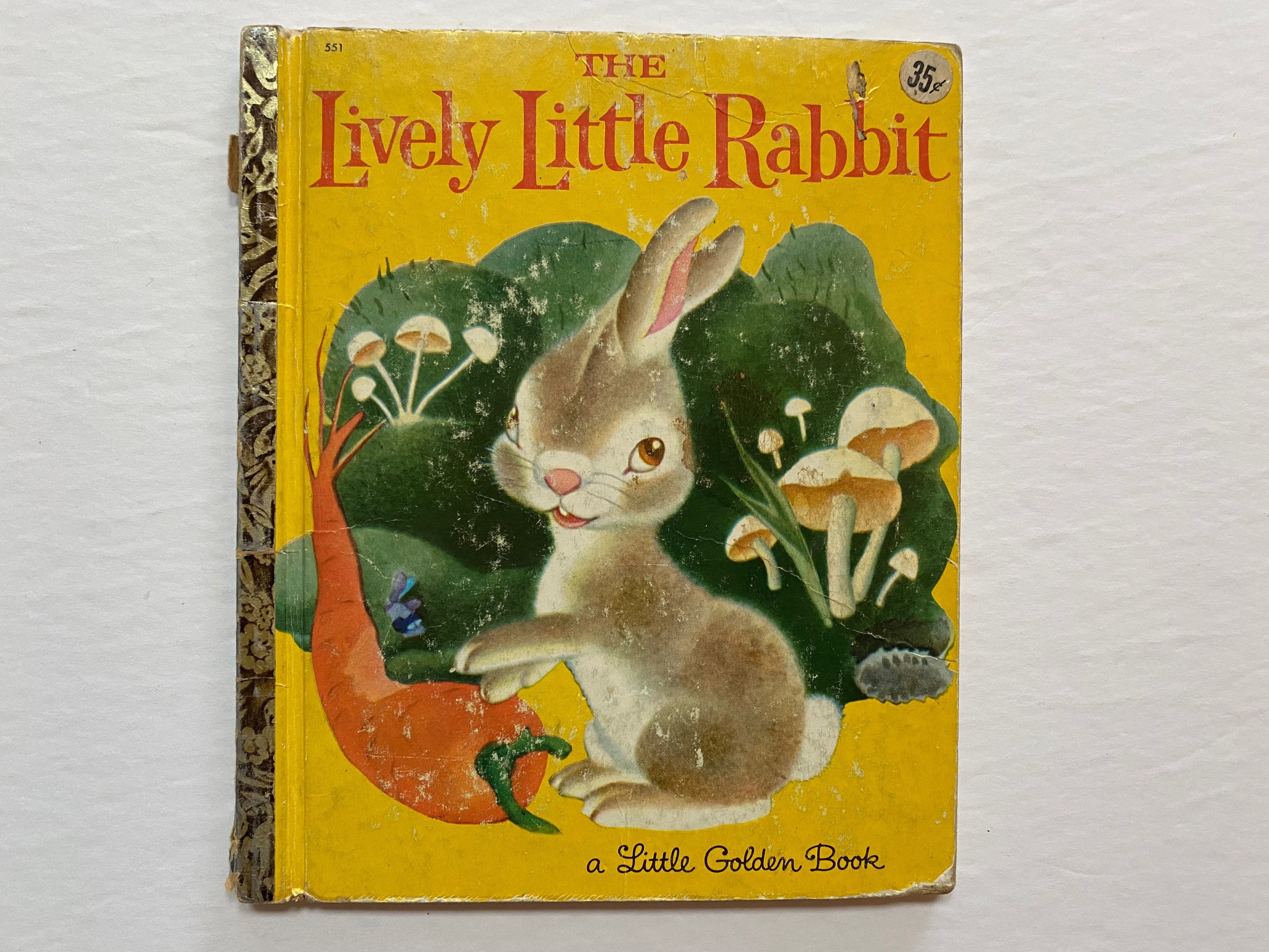 The Lively Little Rabbit Little Golden Book for Kids Children - Etsy