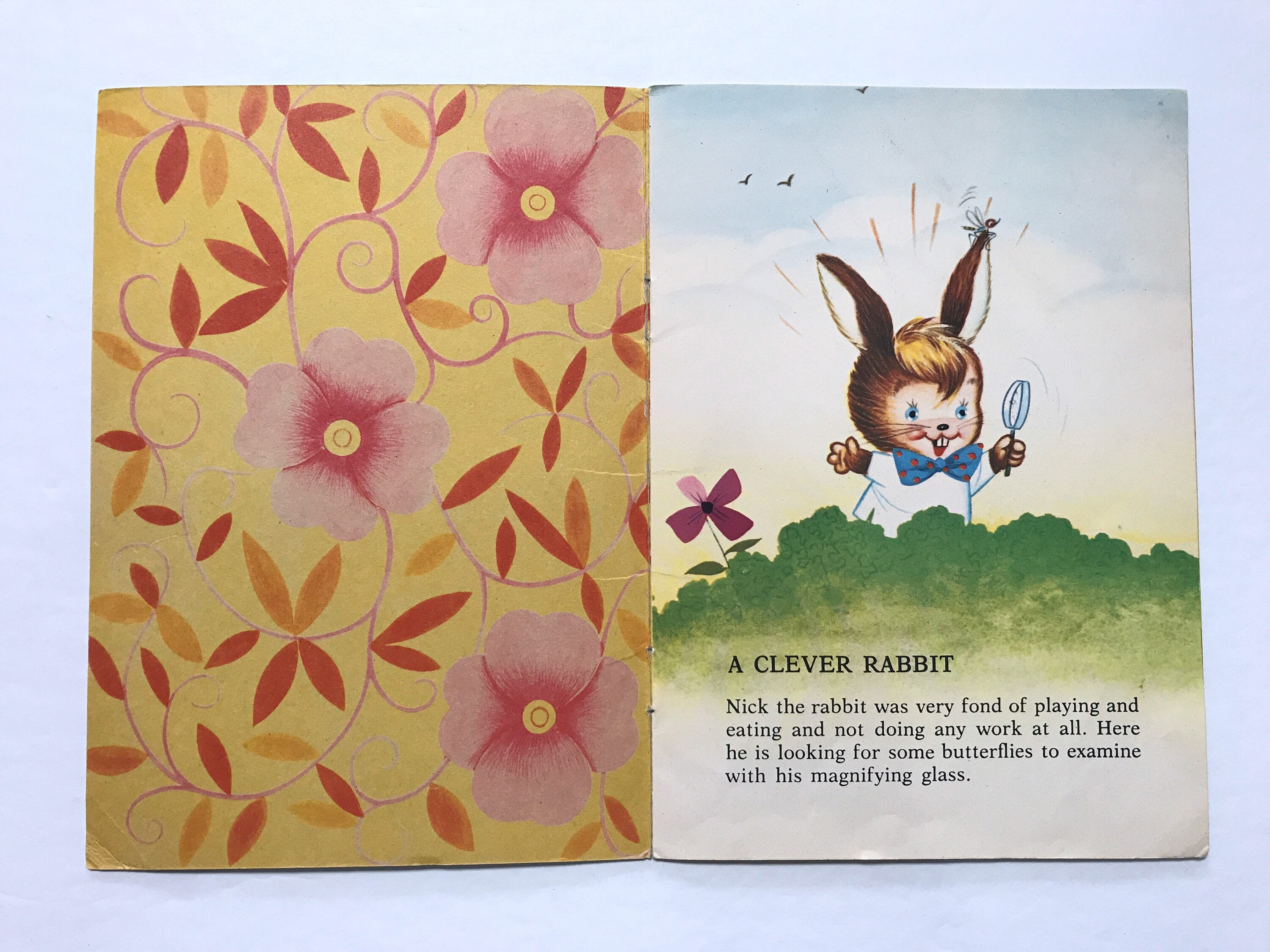 Vintage Soft Cover Kids Book the Clever Rabbit 60s 70s - Etsy