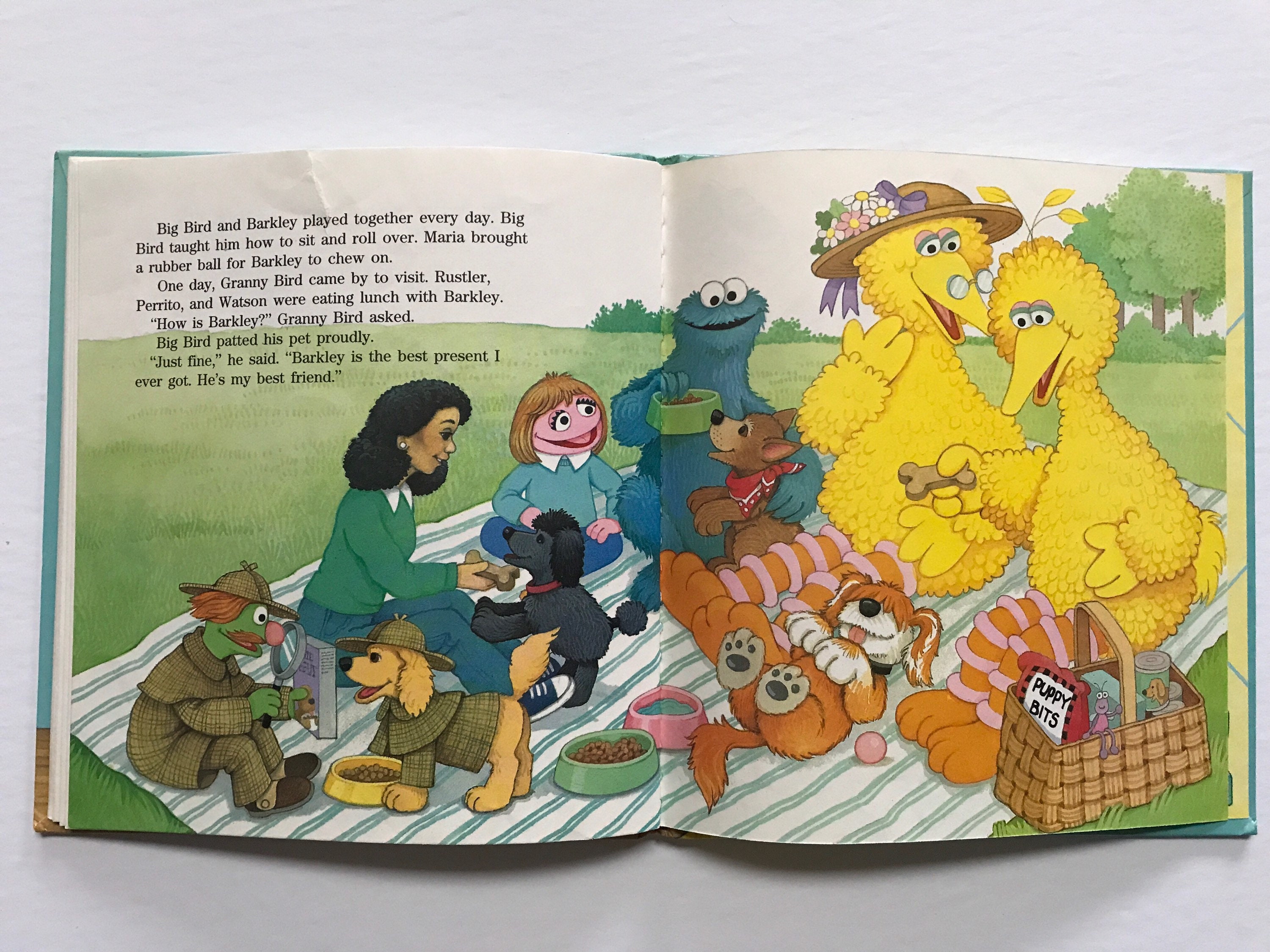 1986 A Birds Best Friend Hard Cover Story Reading Sesame - Etsy