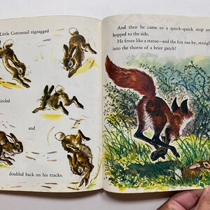 Little Cottontail Golden Book 70s Kids Storybook Bedtime Story - Etsy