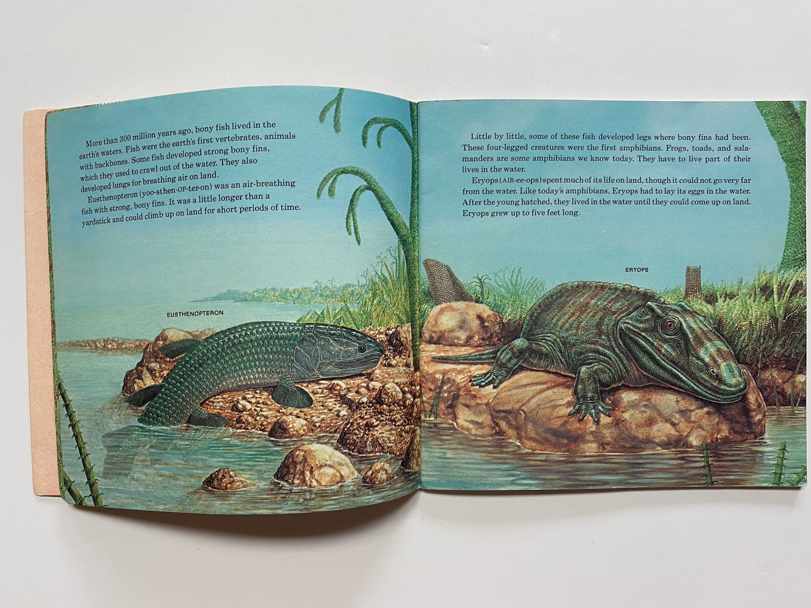 1978 Prehistoric Animals Book by Peter Zallinger - A Please Read to Me ...