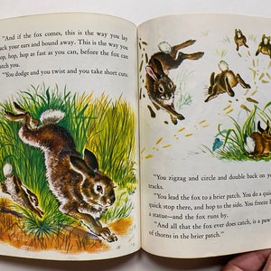 Little Cottontail Golden Book 70s Kids Storybook Bedtime Story - Etsy