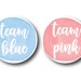 Gender Reveal Party Stickers Team Pink Team Blue Gender | Etsy