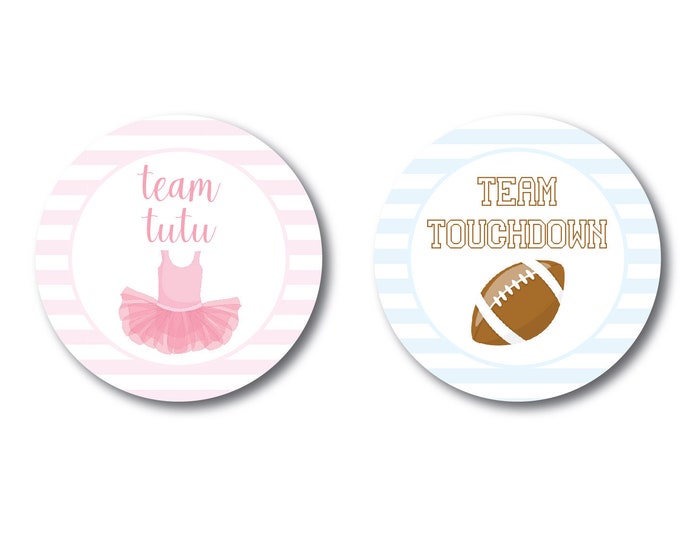 Gender Reveal Party Stickers Team Pink Team Blue Gender - Etsy