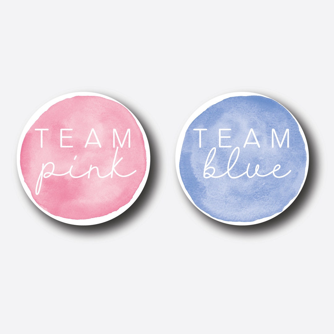 Gender Reveal Party Stickers - Team Pink - Team Blue - Gender Reveal ...