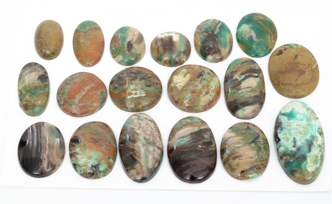 18x RARE Collawood Petrified Wood Chrysocolla Azurite Pendant Cabochon ...