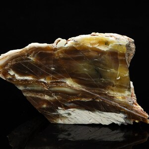 Rare OPAL Polished Crystal 3.88 Oz Healing Chakra Stone Specimen #7672T ...