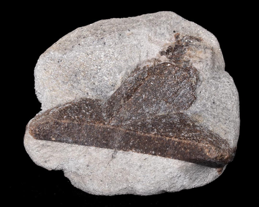 Large STAUROLITE Cross Stone 6.45 Oz Crystal Specimen #1744k - Etsy