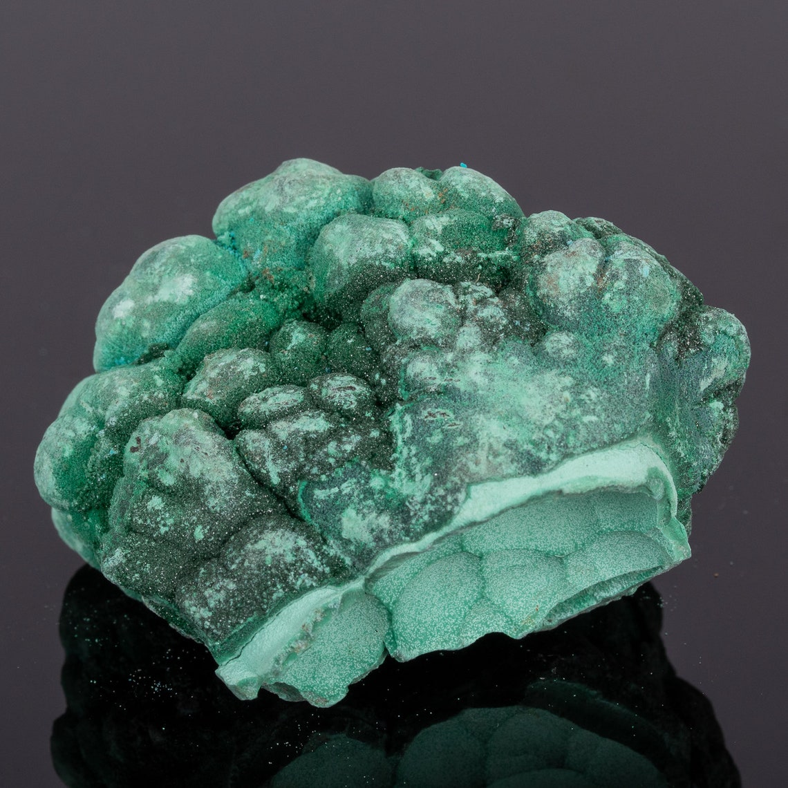 Blue Botryoidal CHRYSOCOLLA with Malachite stone 3.06 oz | Etsy