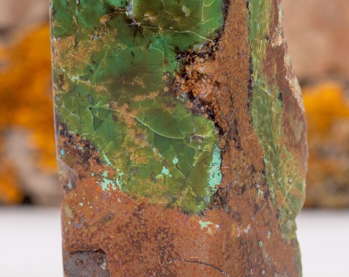 RARE Collawood Polished Slice Slab Petrified Colla Wood - Etsy