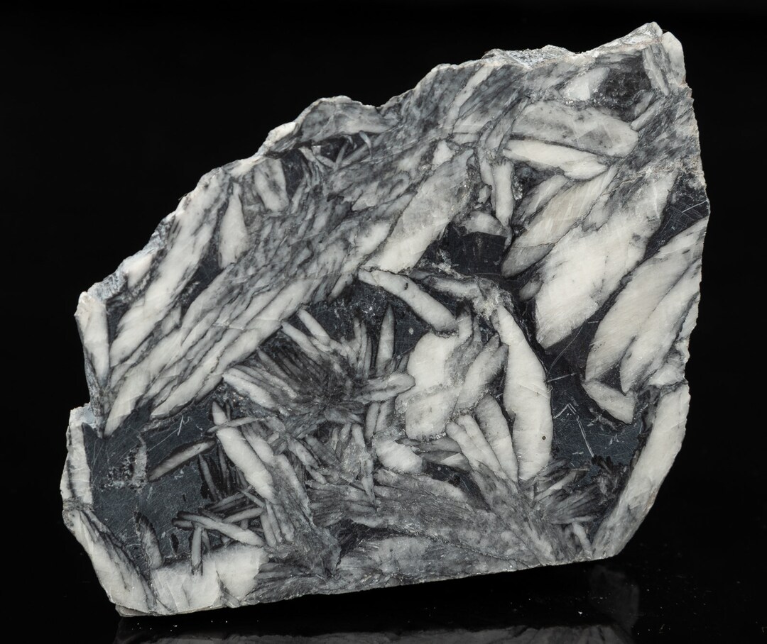 PINOLITE Pinolith Polished Slice Stone 6.31 Oz Healing Chakra Crystal ...