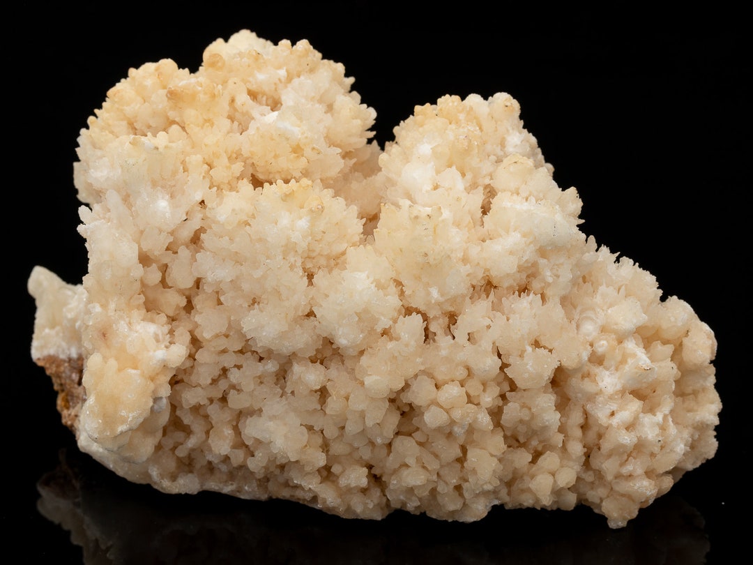 Real Coral White Reef Aquarium Decor 2.12 Lbs Specimen #5113T - Etsy