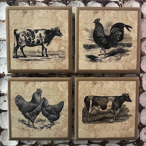 COASTERS! Farmhouse Inspired Farm Animals Coasters With Gold Trim - Etsy