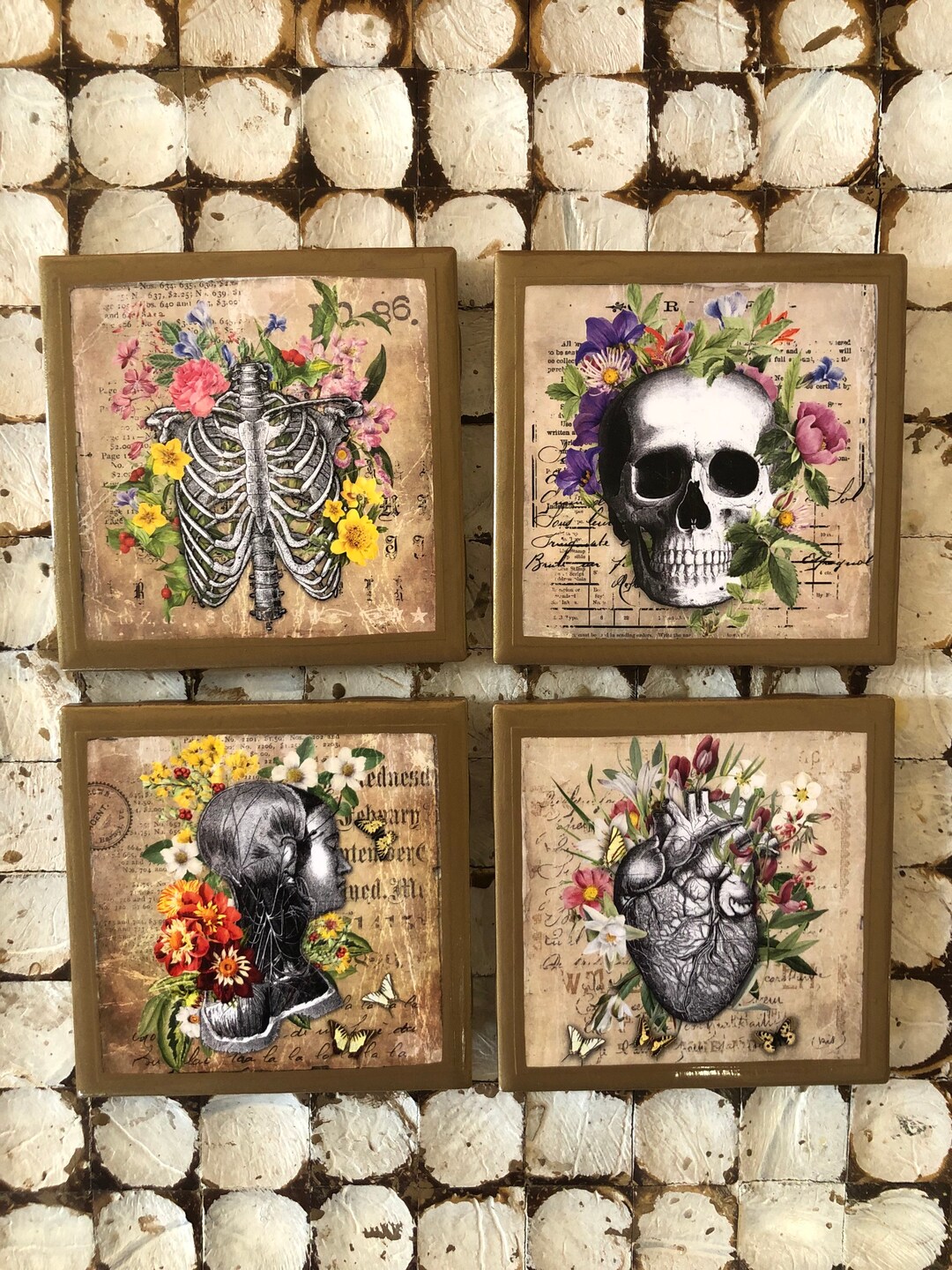 COASTERS! Floral Anatomy Coasters With Gold Trim - Etsy