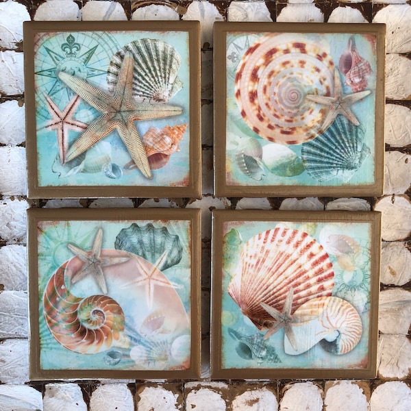 Seashell Coasters - Etsy