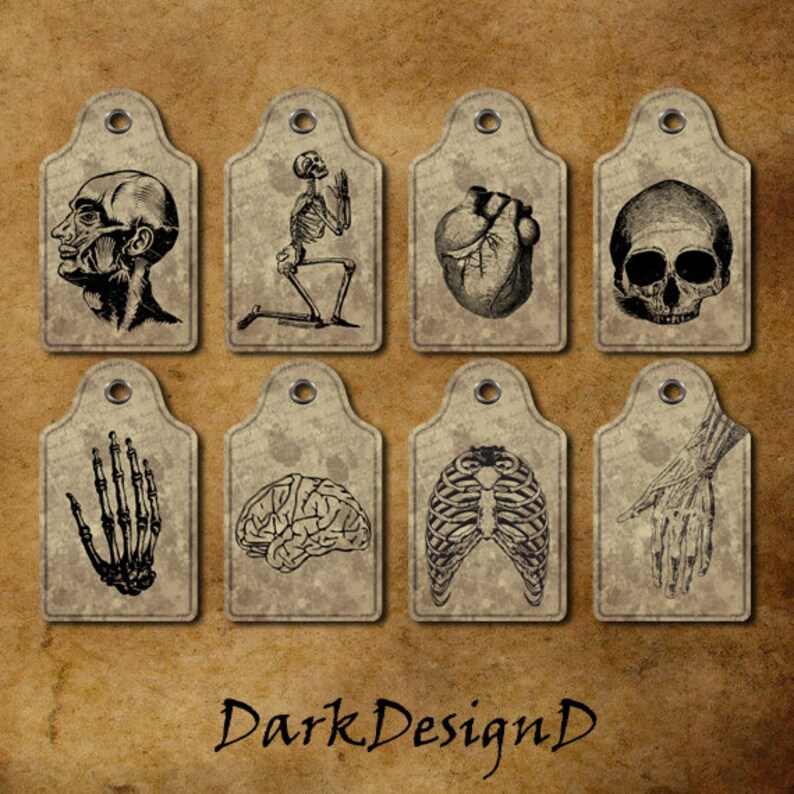 Digital Tags Anatomy Horror– INSTANT DOWNLOAD, Image Graphic Gothic ...