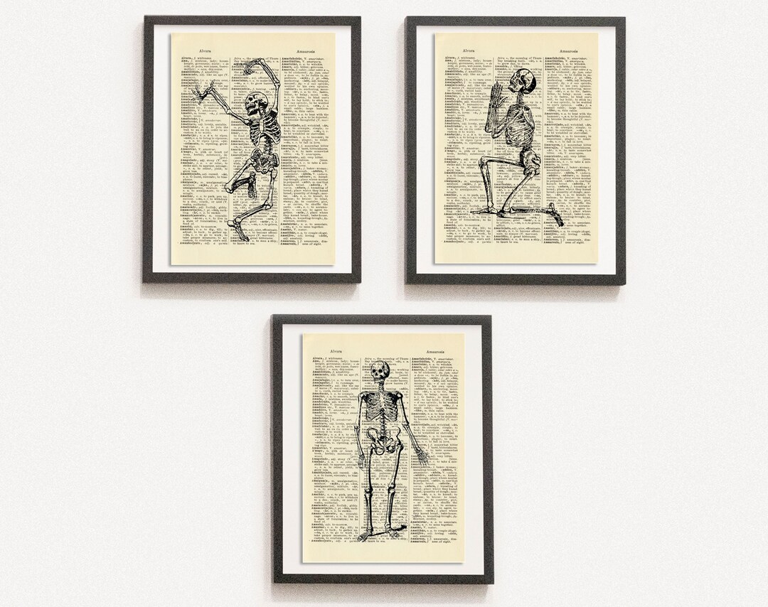 Print Set of 3 Anatomical Poster, Human Skeleton Print, Medical Print ...