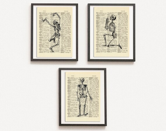 Print Set of 3 Anatomical Poster Human Skeleton Print | Etsy