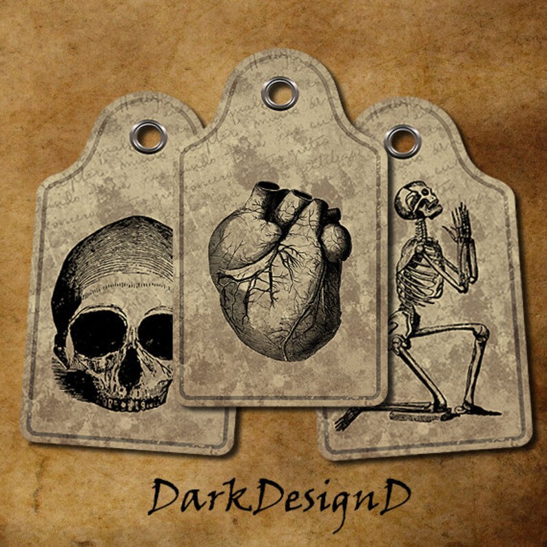 Digital Tags Anatomy Horror– INSTANT DOWNLOAD, Image Graphic Gothic ...