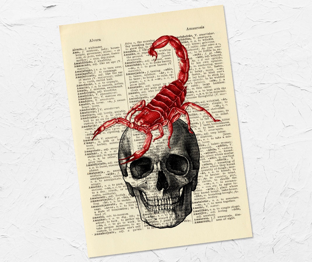 Skull With Scorpion, Human Skull, Scorpio, Dictionary Art Print, Drawn ...