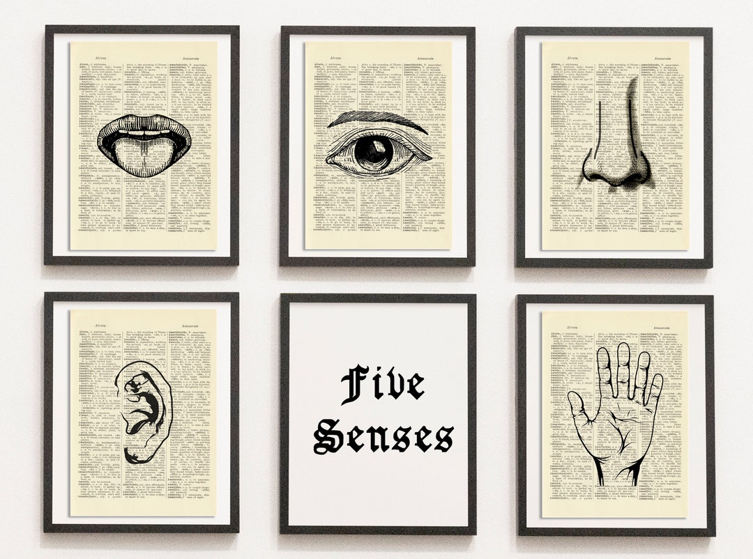 Print Set of 5 Five Senses Anatomical Poster, Human Senses Print ...