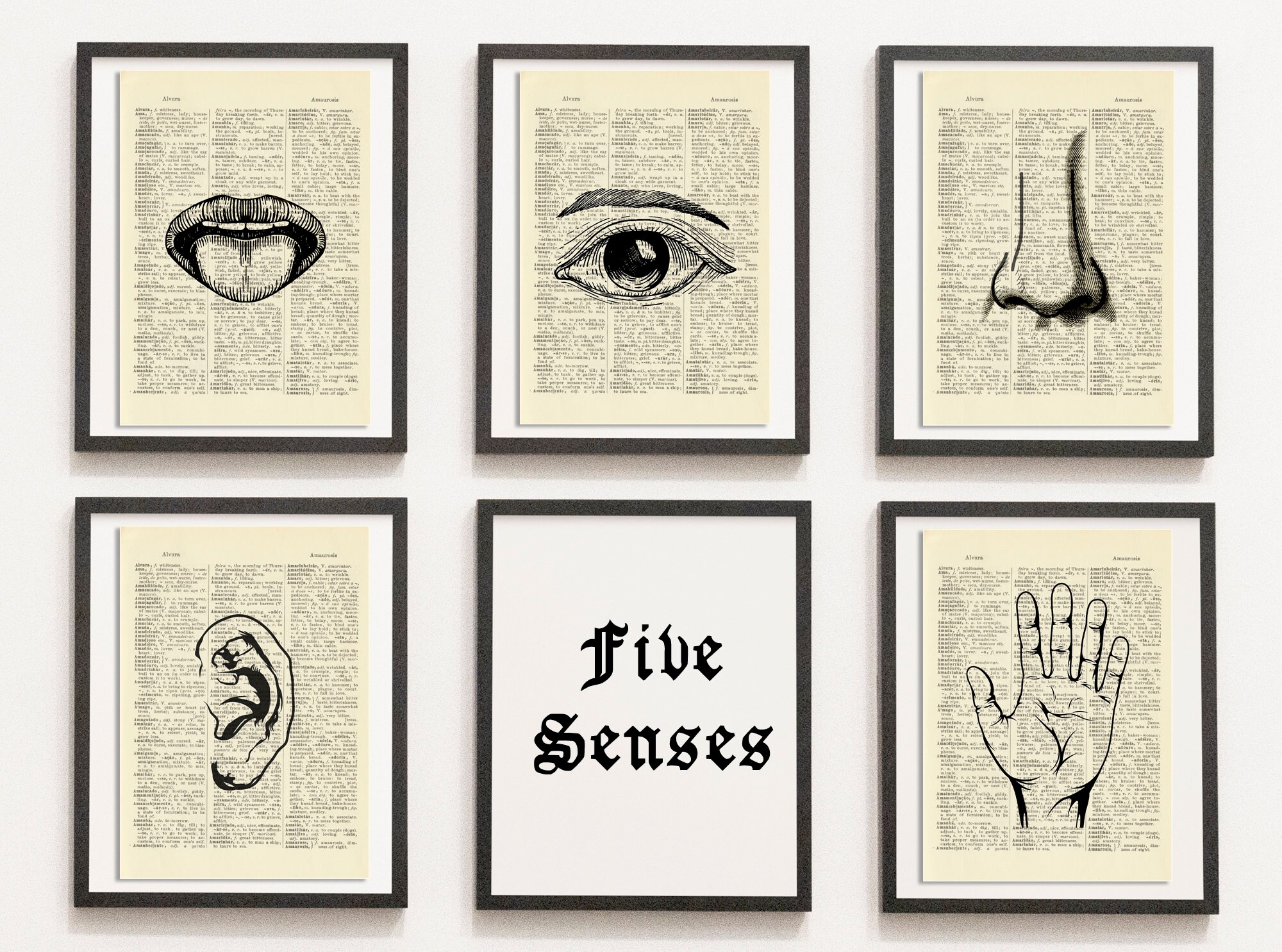 Print Set of 5 Five Senses Anatomical Poster, Human Senses Print ...