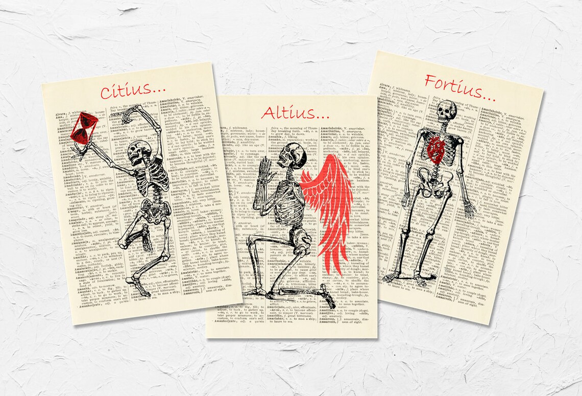 Print Set of 3 Anatomical Poster, Human Skeleton Print, Medical Print ...