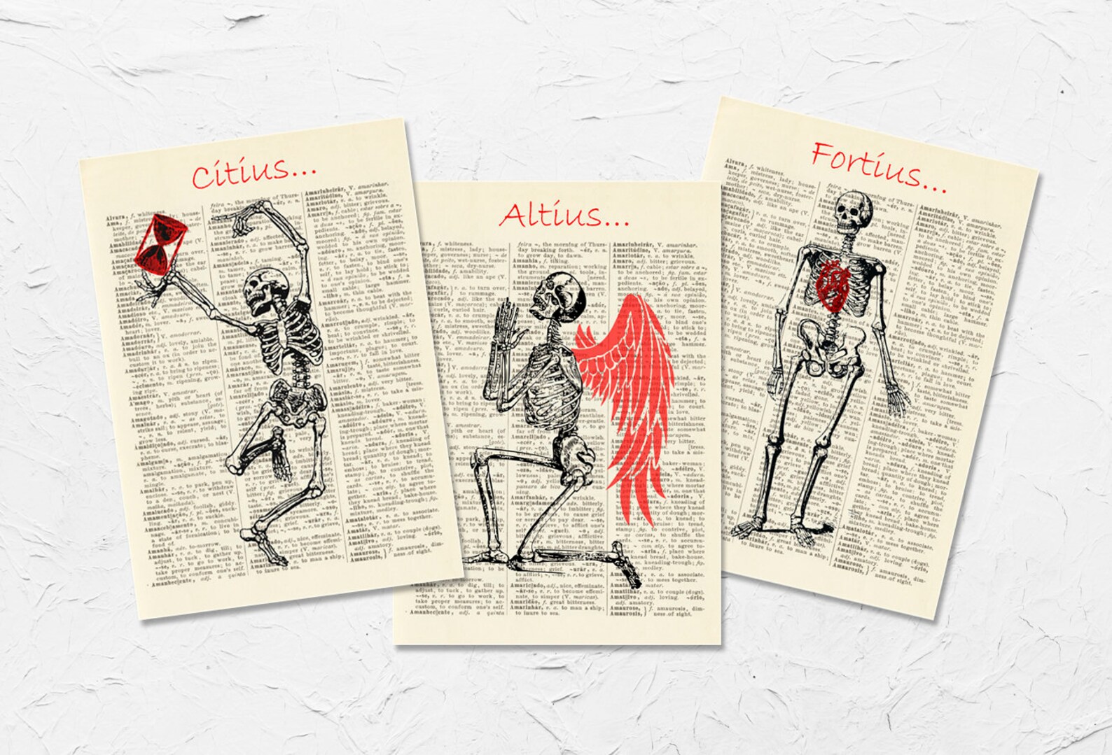 Print Set of 3 Anatomical Poster, Human Skeleton Print, Medical Print ...