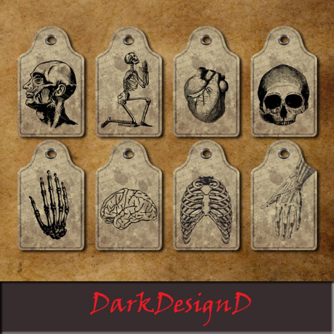 Digital Tags Anatomy Horror– INSTANT DOWNLOAD, Image Graphic Gothic ...
