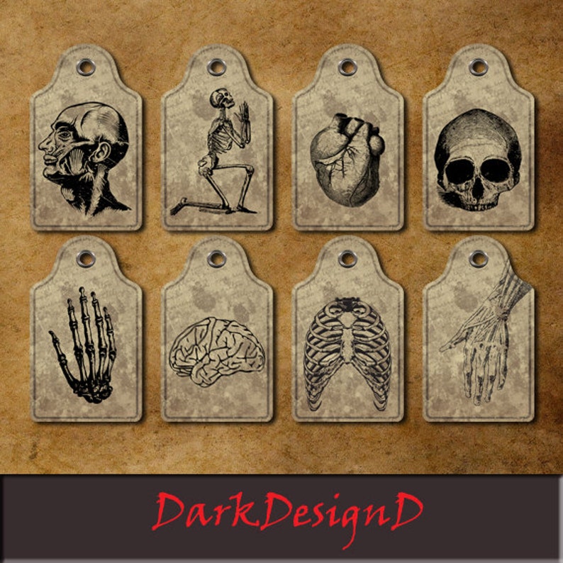 Digital Tags Anatomy Horror– INSTANT DOWNLOAD, Image Graphic Gothic ...