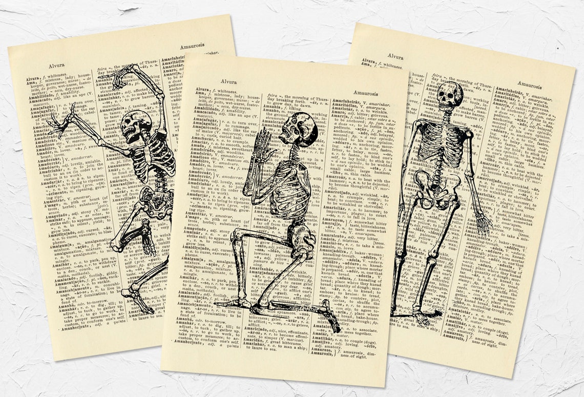 Print Set of 3 Anatomical Poster, Human Skeleton Print, Medical Print ...