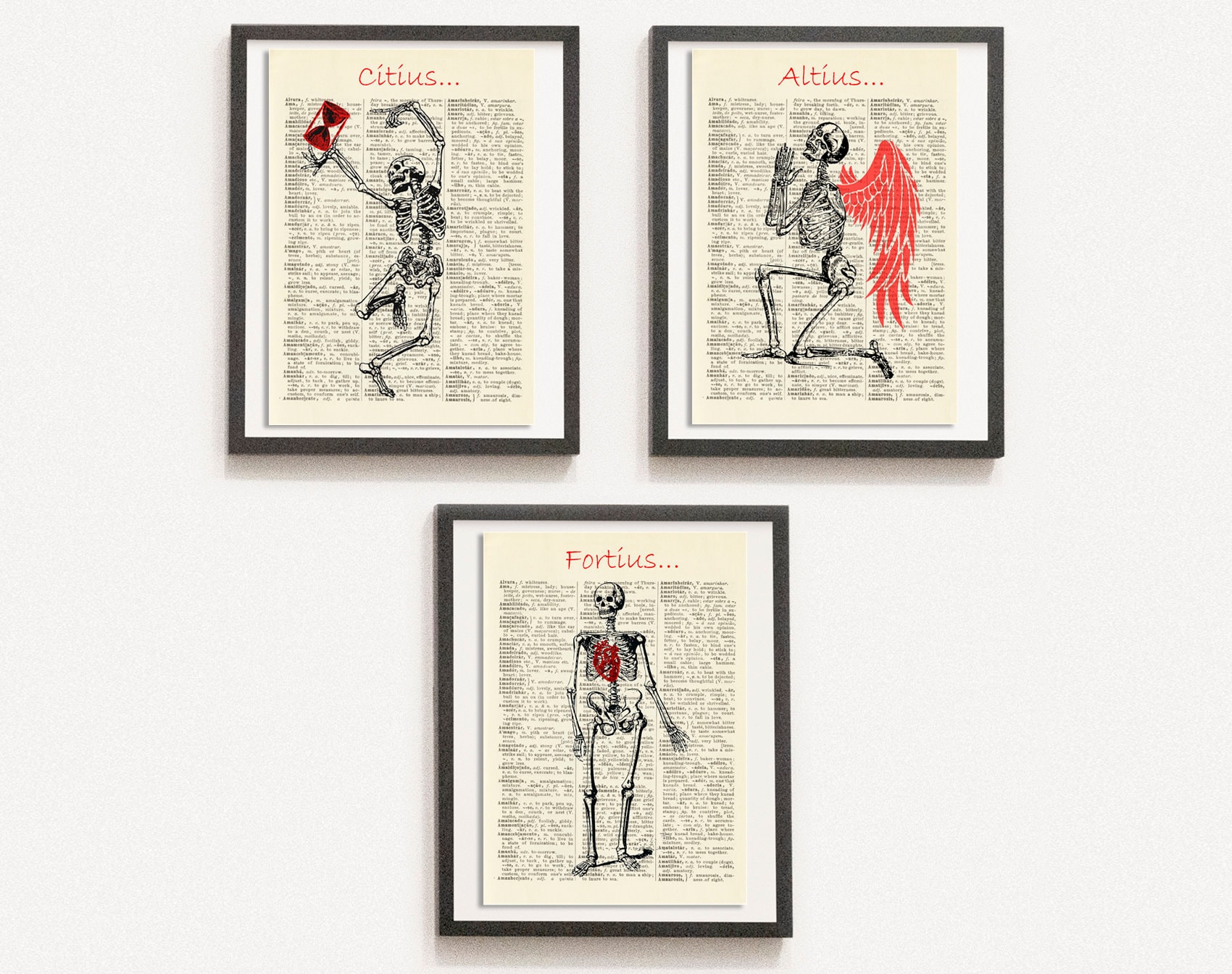 Print Set of 3 Anatomical Poster, Human Skeleton Print, Medical Print ...
