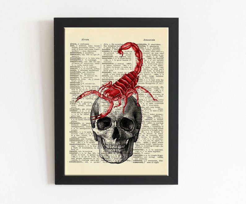 Skull With Scorpion, Human Skull, Scorpio, Dictionary Art Print, Drawn ...