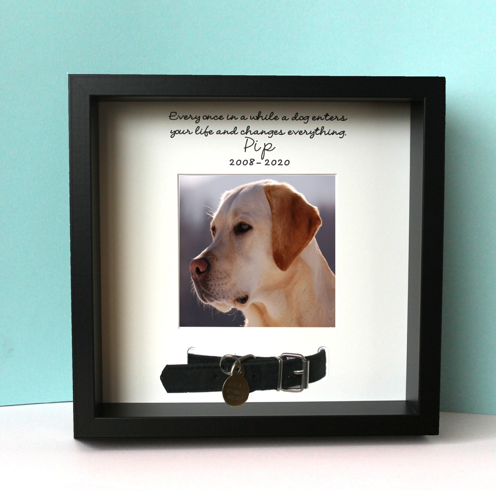 Personalised Pet Memorial Frame - Photo Frame for Pet Dog or Cat Collar ...