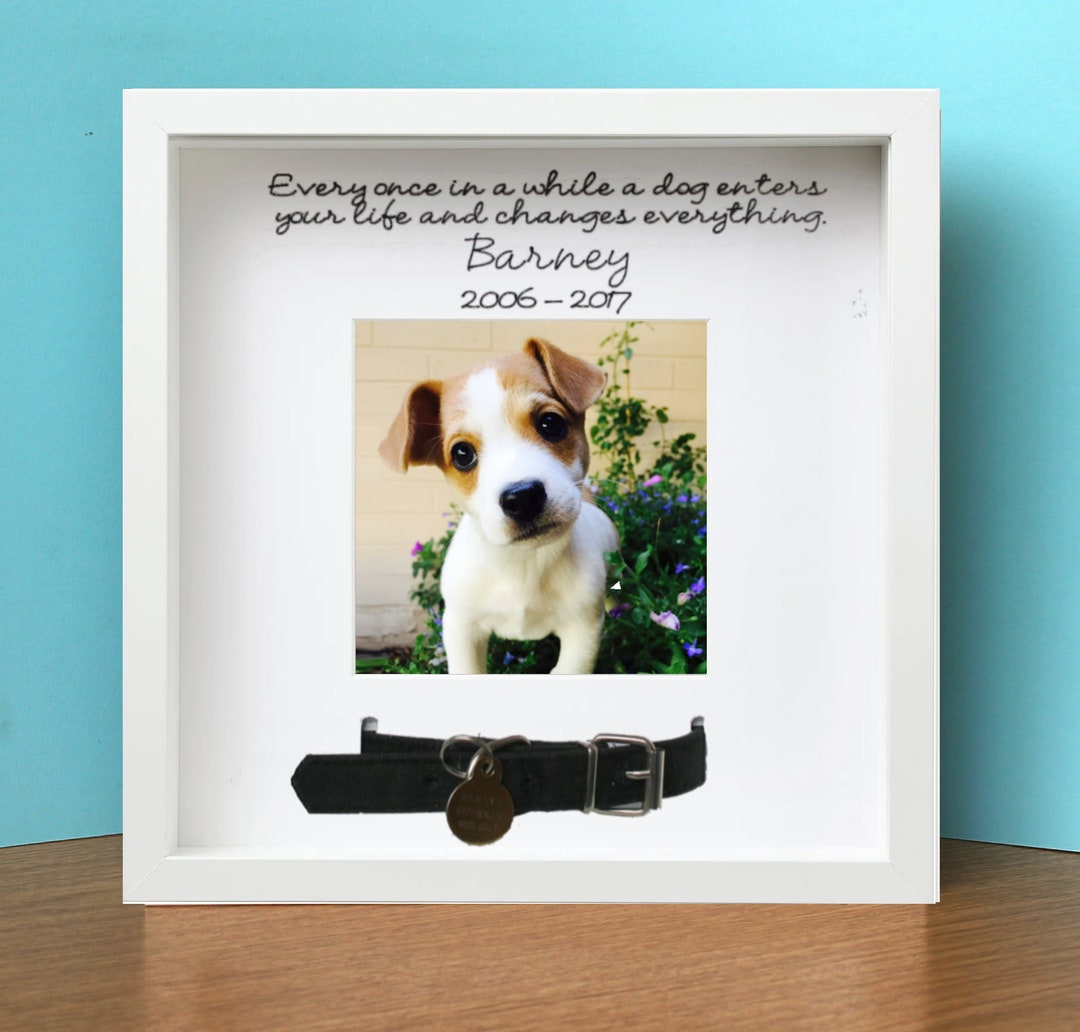 Personalised Pet Memorial Frame - Photo Frame for Pet Dog or Cat Collar ...