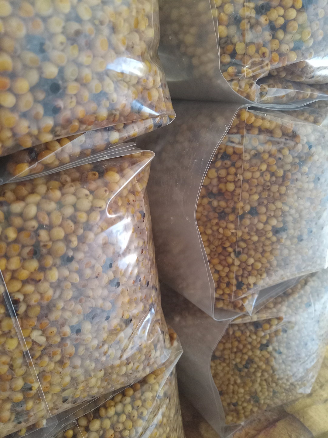 Sterile Grain Red Milo 3 Lbs 10T Bags - Etsy