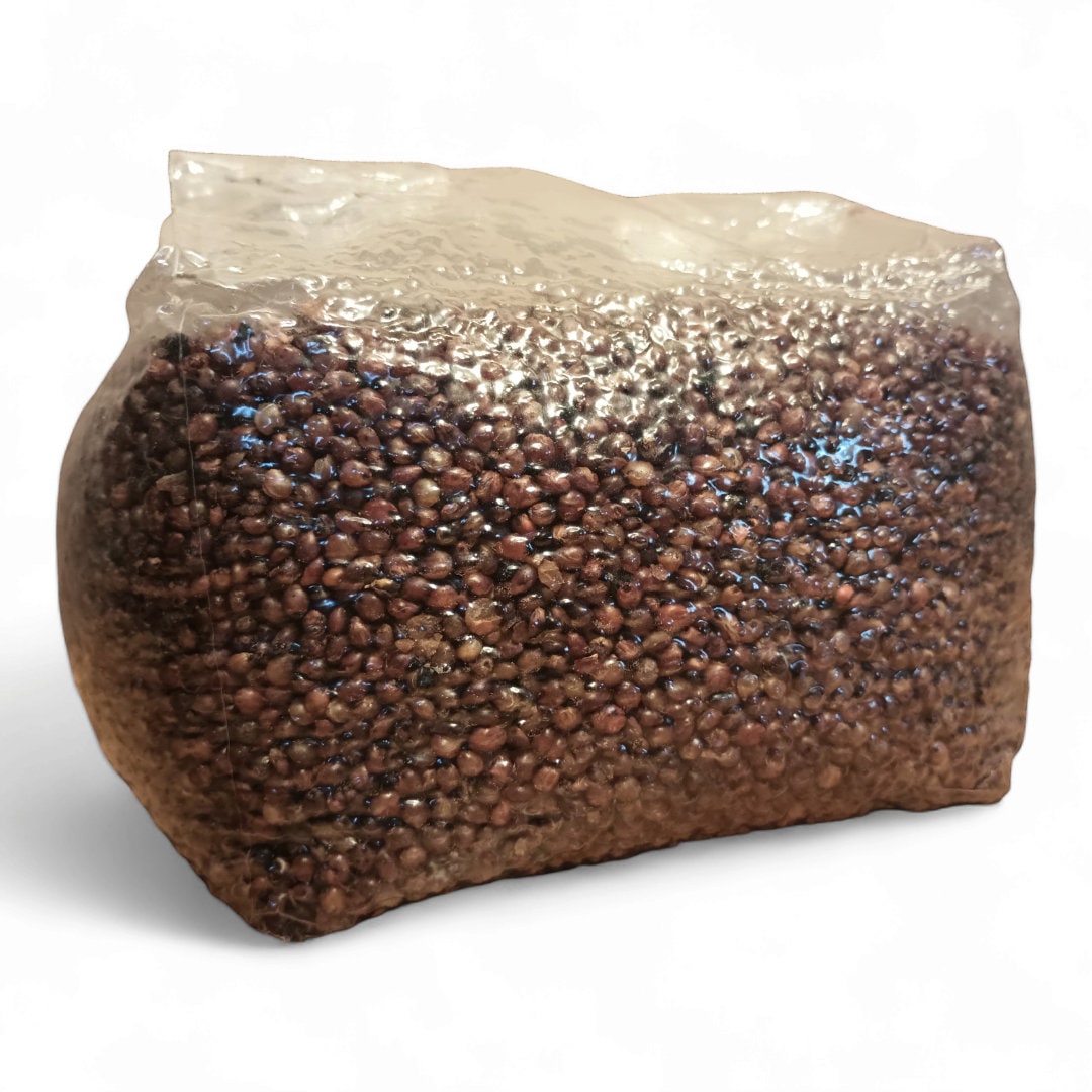 Grain Spawn- Sterile 3lb. Red Milo - Etsy