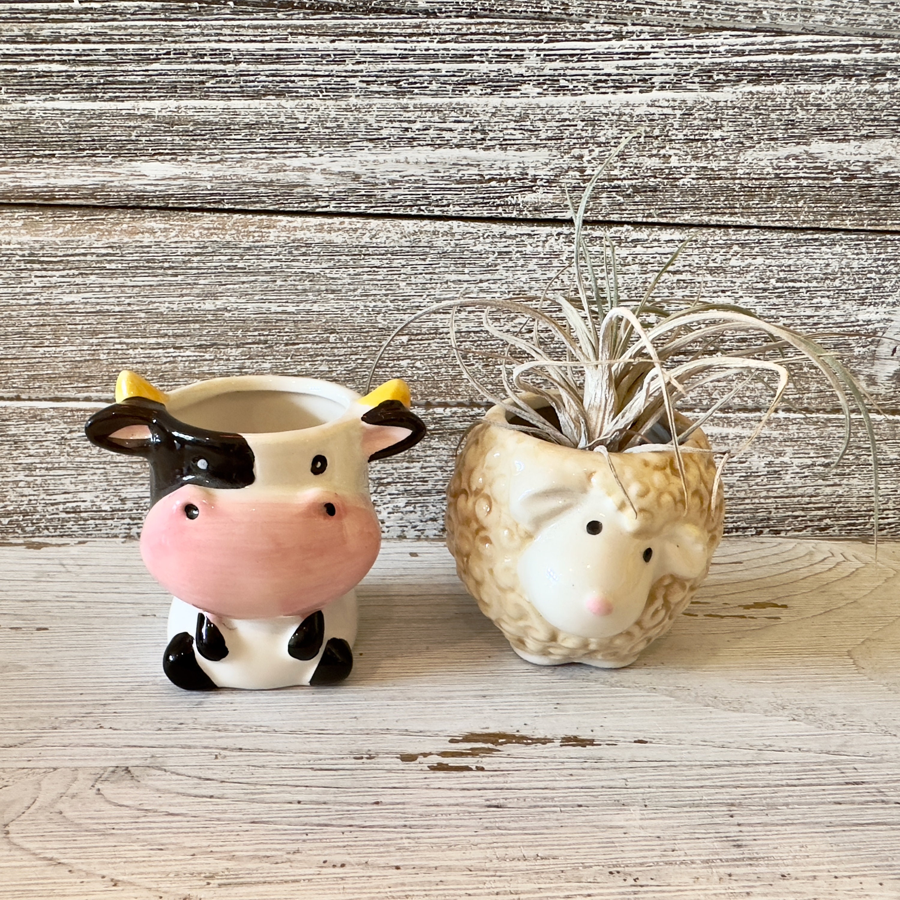 Little Sheep and Cow Ceramic Planters, Farm Animals Gifts, Pottery ...