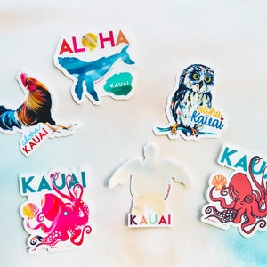 Kauai Octopus Sticker, Pink He'e With Sunrise Shell - Etsy