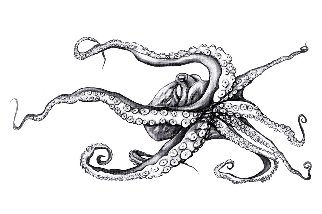 Black and White Tako Art B&W Octopus Print Hawaiian - Etsy