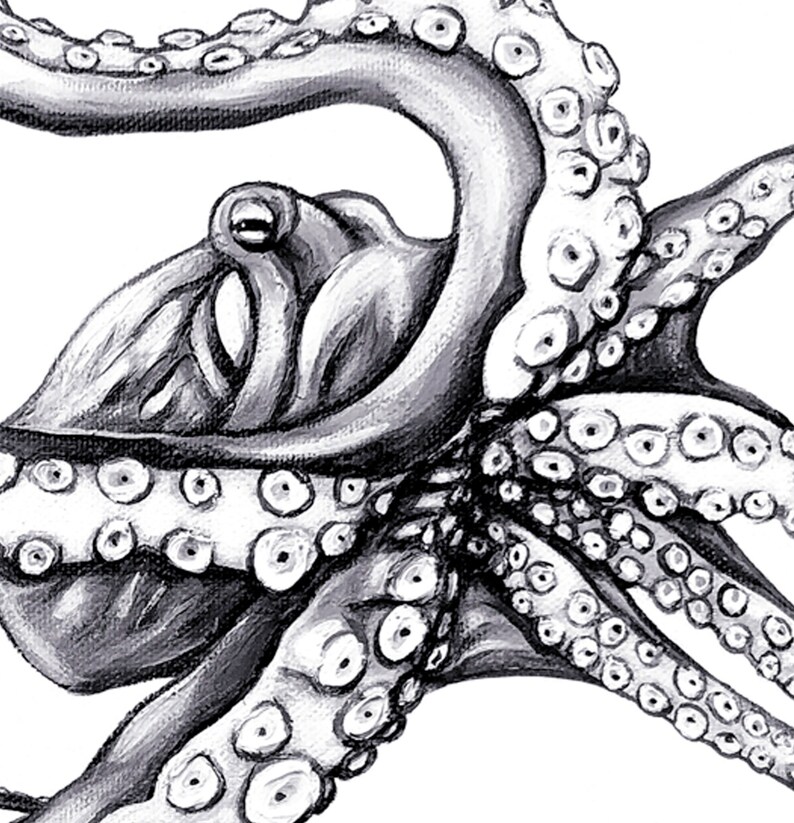 Black and White Tako Art B&W Octopus Print Hawaiian - Etsy