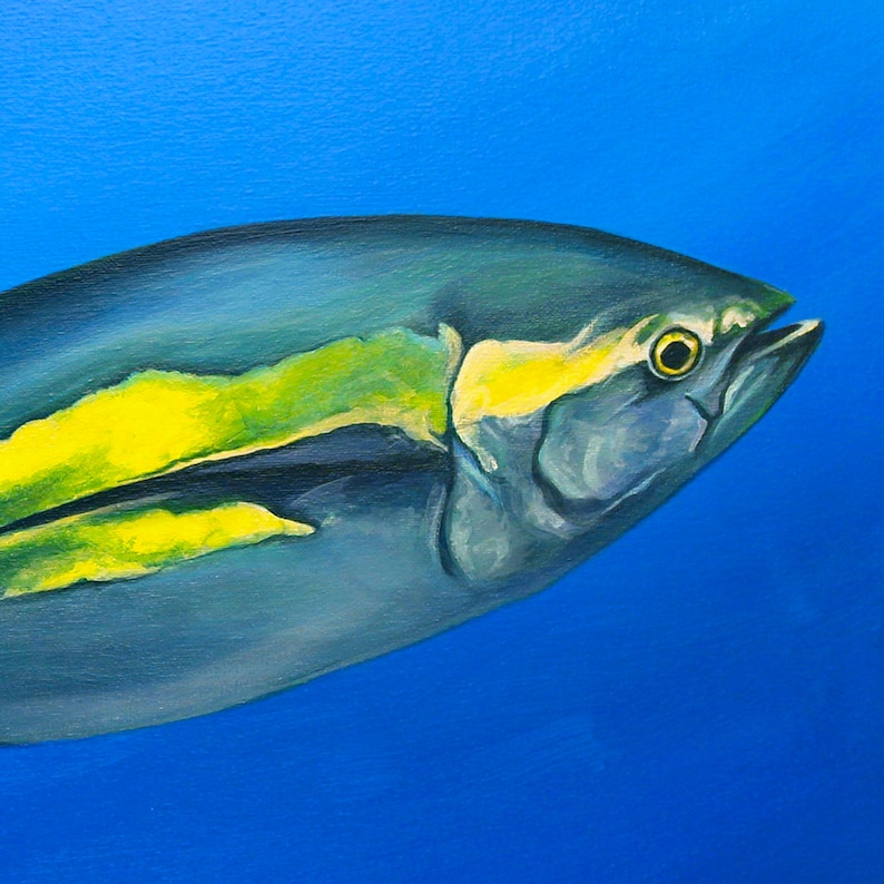 Yellowfin Tuna Art Print, Kauai Hawaii, Coastal House - Etsy