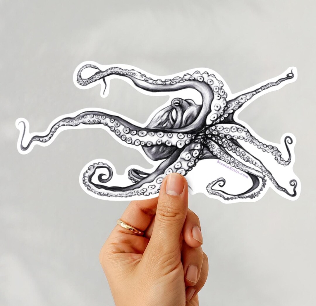 Kauai Octopus Sticker, Heʻe Hawaii Souvenir - Etsy