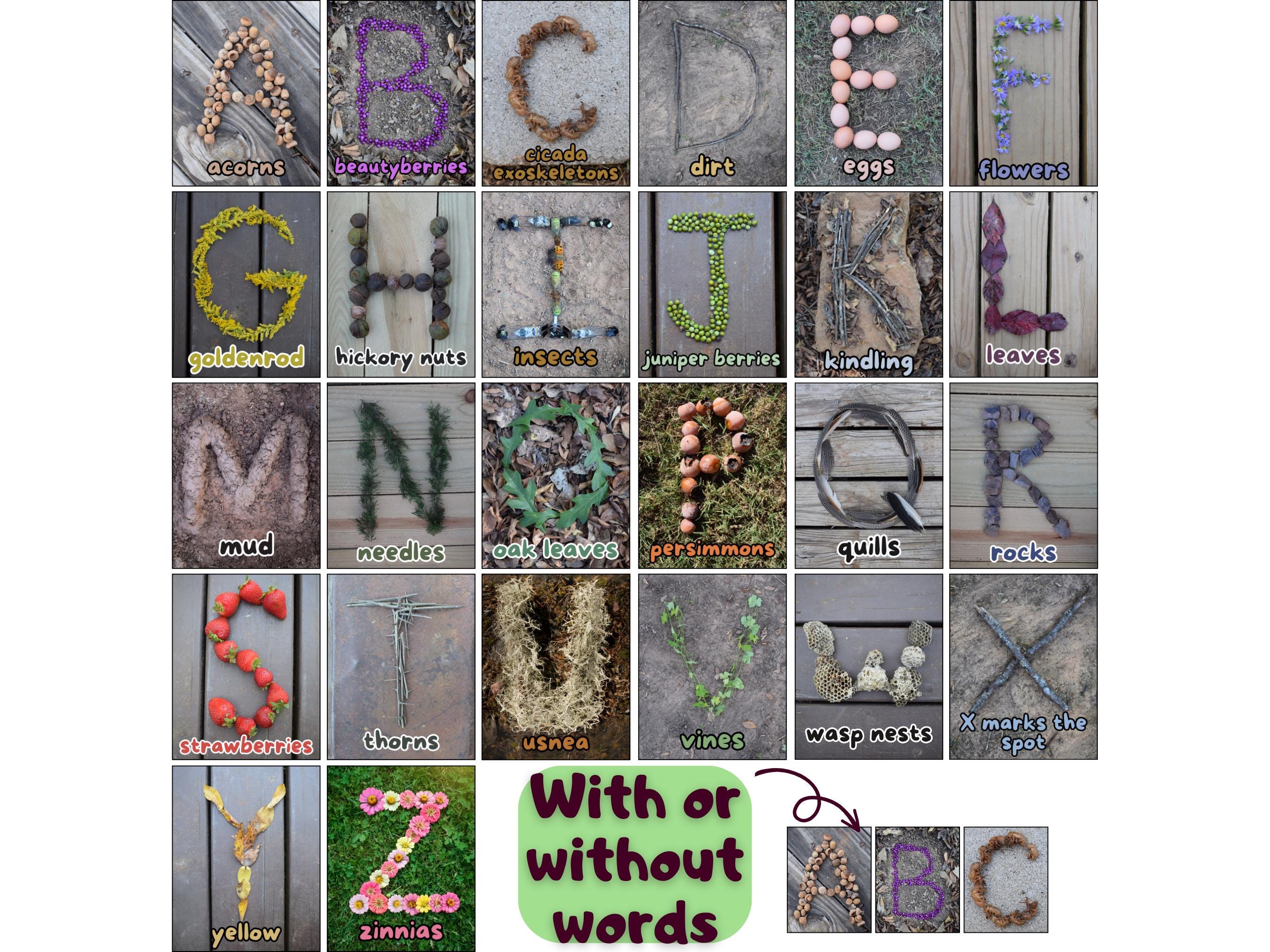 Nature Alphabet Cards Uppercase Forest School Printable Flashcards ...