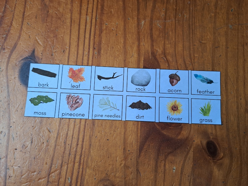 Egg Carton Nature Scavenger Hunt Printable Fall Scavenger Hunt ...