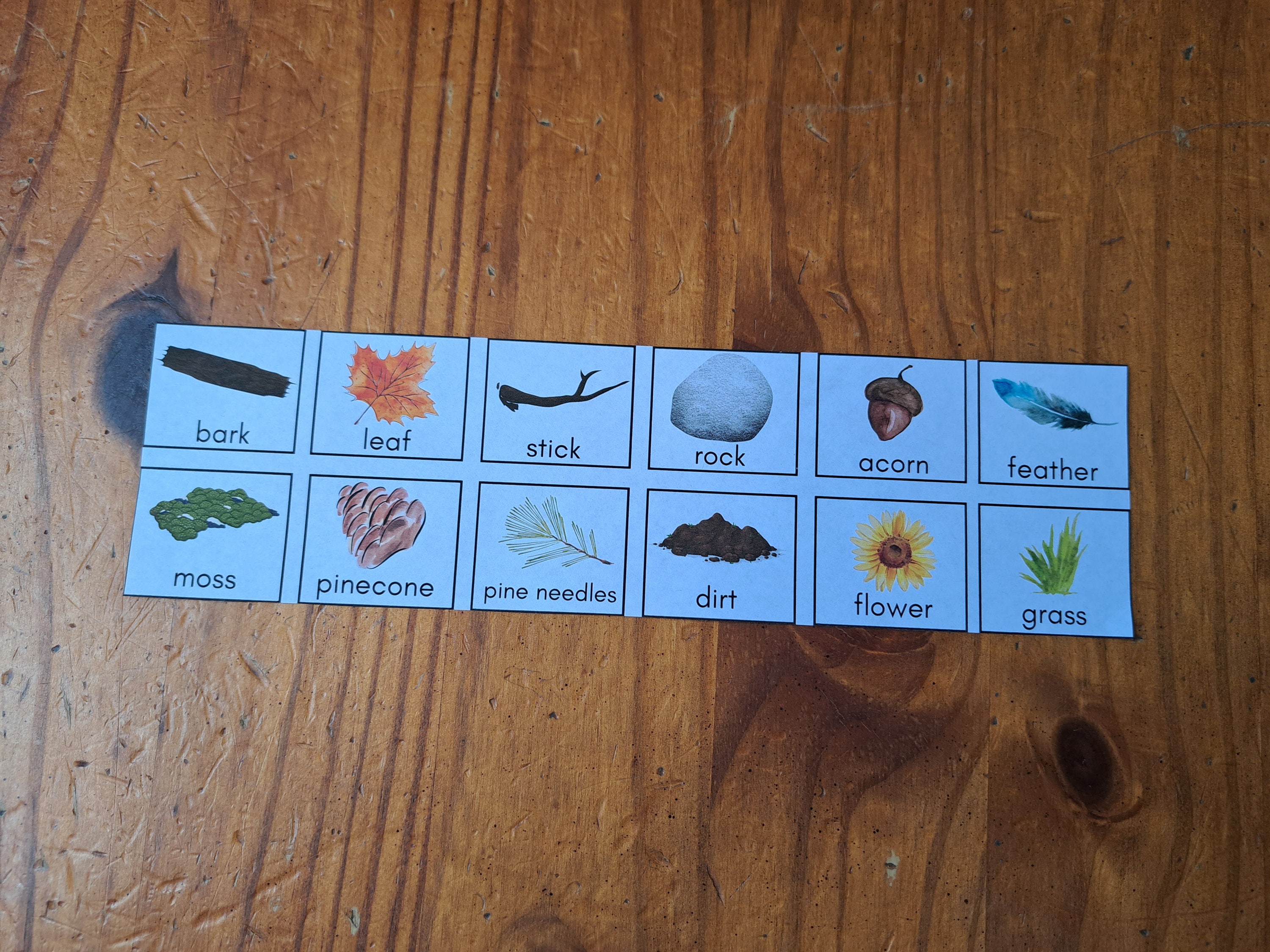 Egg Carton Nature Scavenger Hunt Printable Fall Scavenger Hunt ...